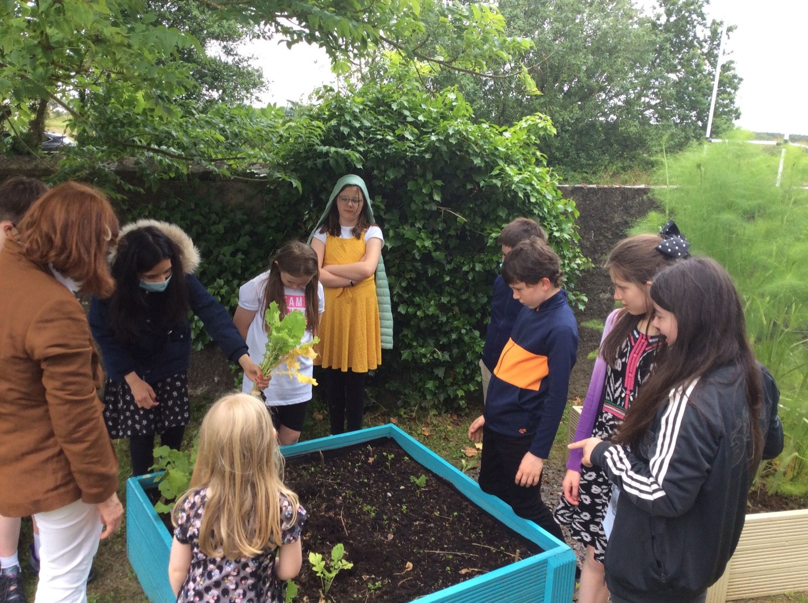 Lenamore National School Ballylongford | Moyvane | Listowel | North ...